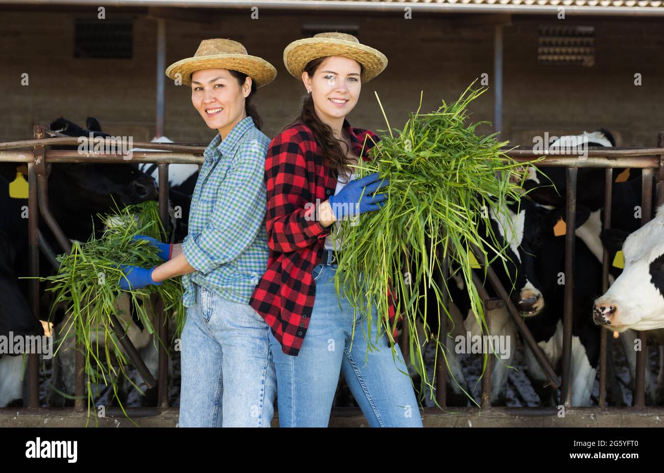 Portrait of two positive female farmers in a cowshed, holding freshly ...