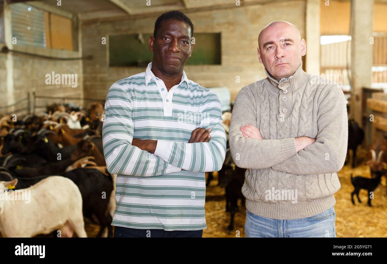 Two men posing in goat barn Stock Photo - Alamy