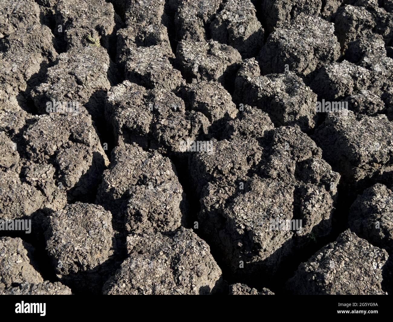 A textured view of the dried ground in Selous Game Reserve Stock Photo ...