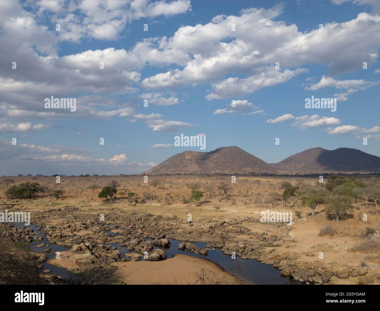 Ruaha national park hi-res stock photography and images - Alamy