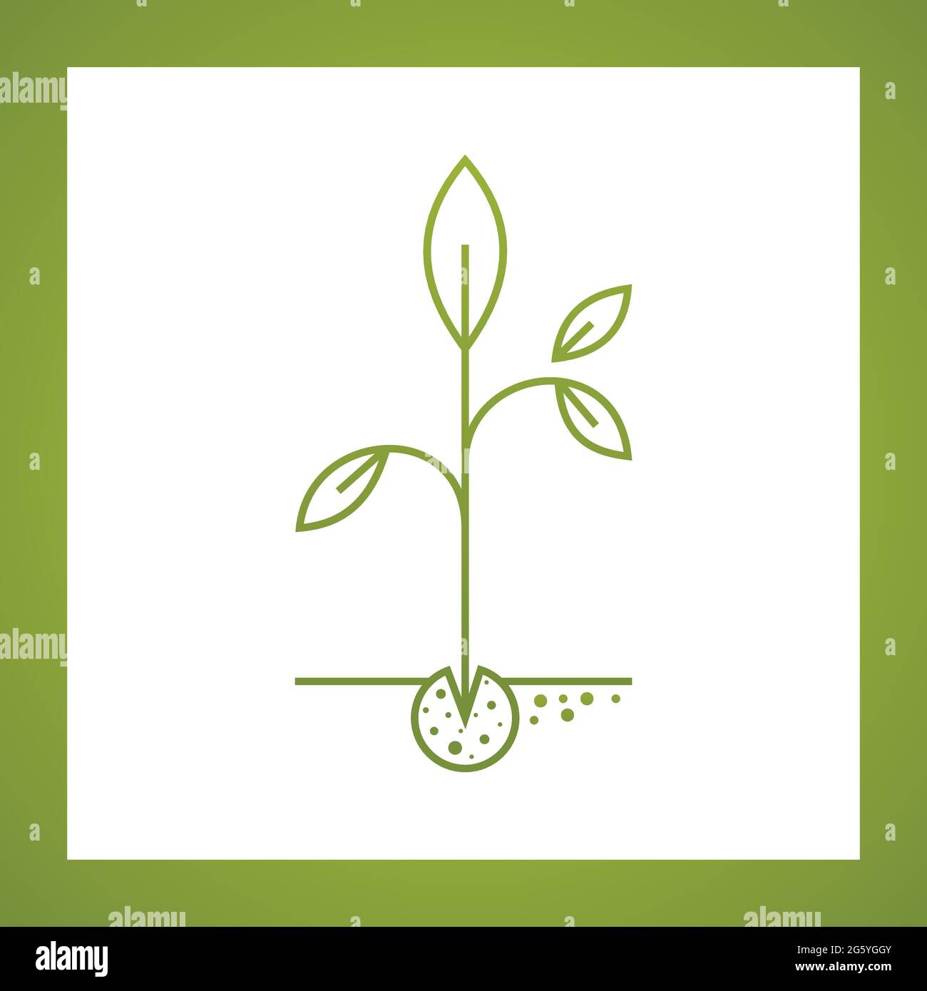 seedling, sprout, sapling flat icon in illustrator Stock Vector Image ...