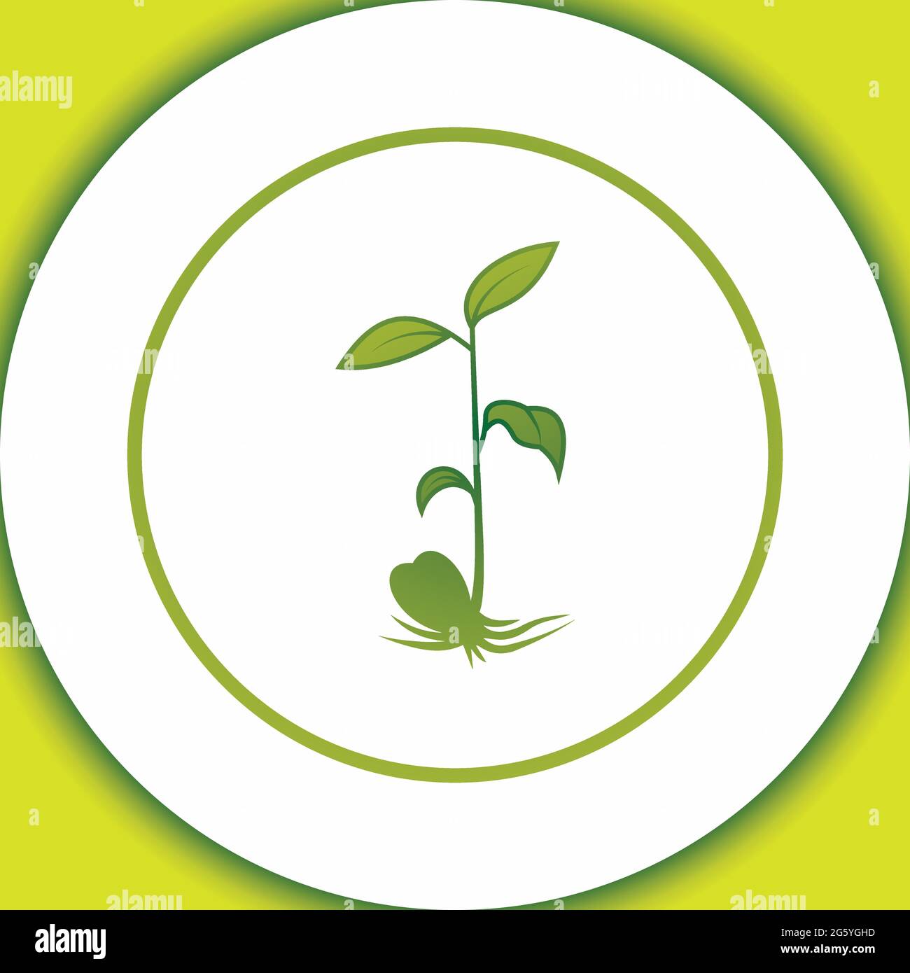 Seed Sprout Vector