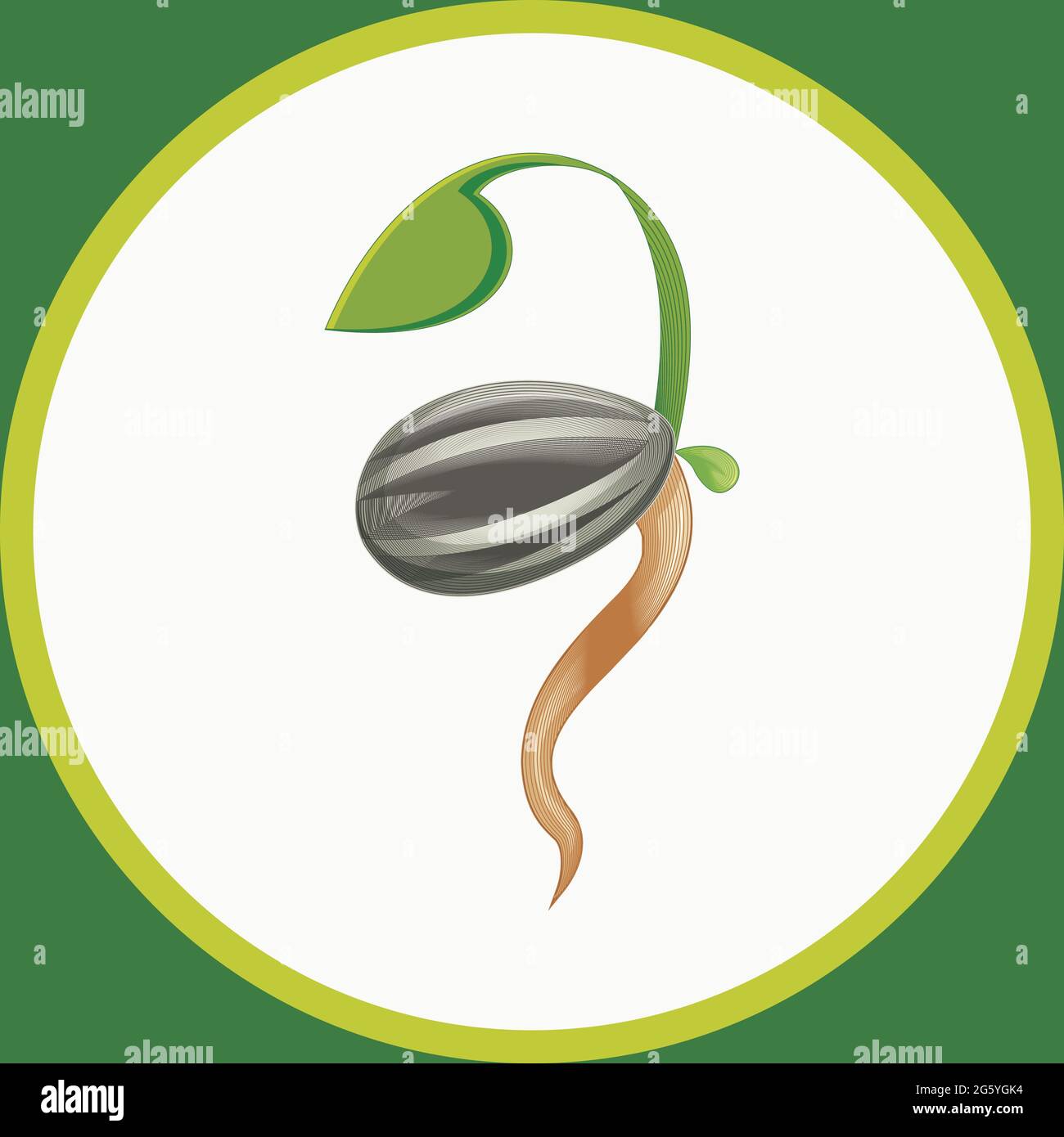 Sapling logo hi-res stock photography and images - Alamy