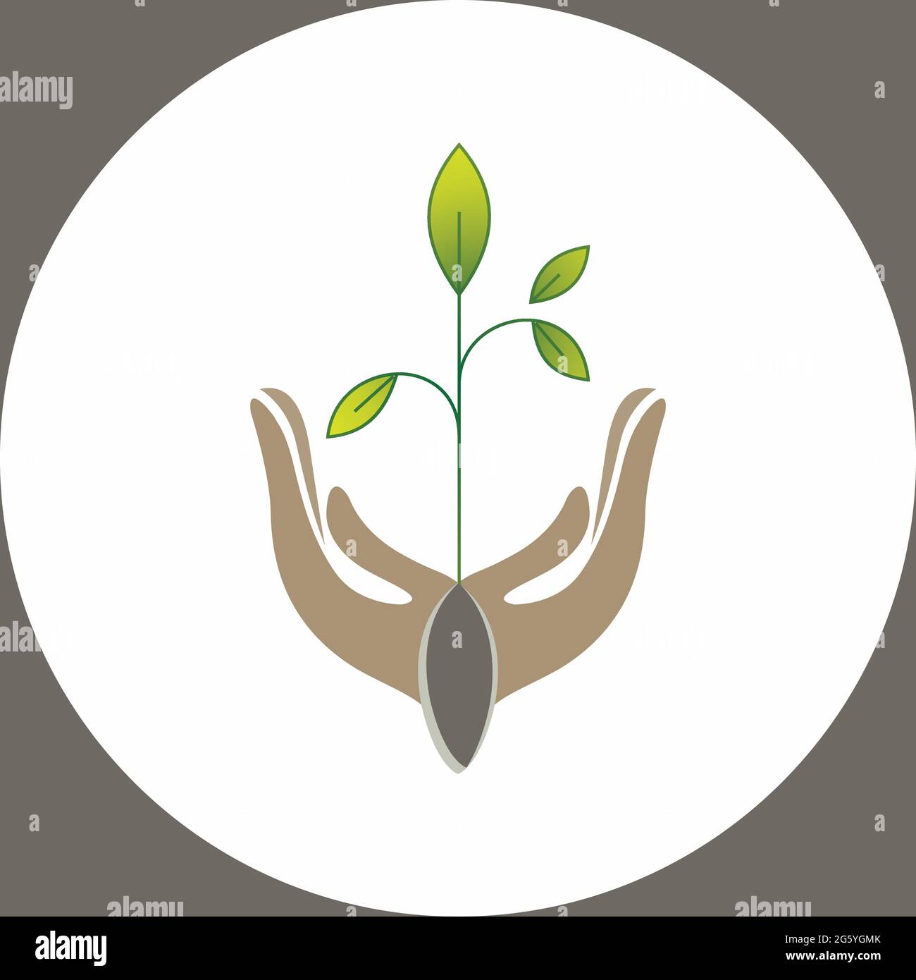 Apple sapling Stock Vector Images - Alamy