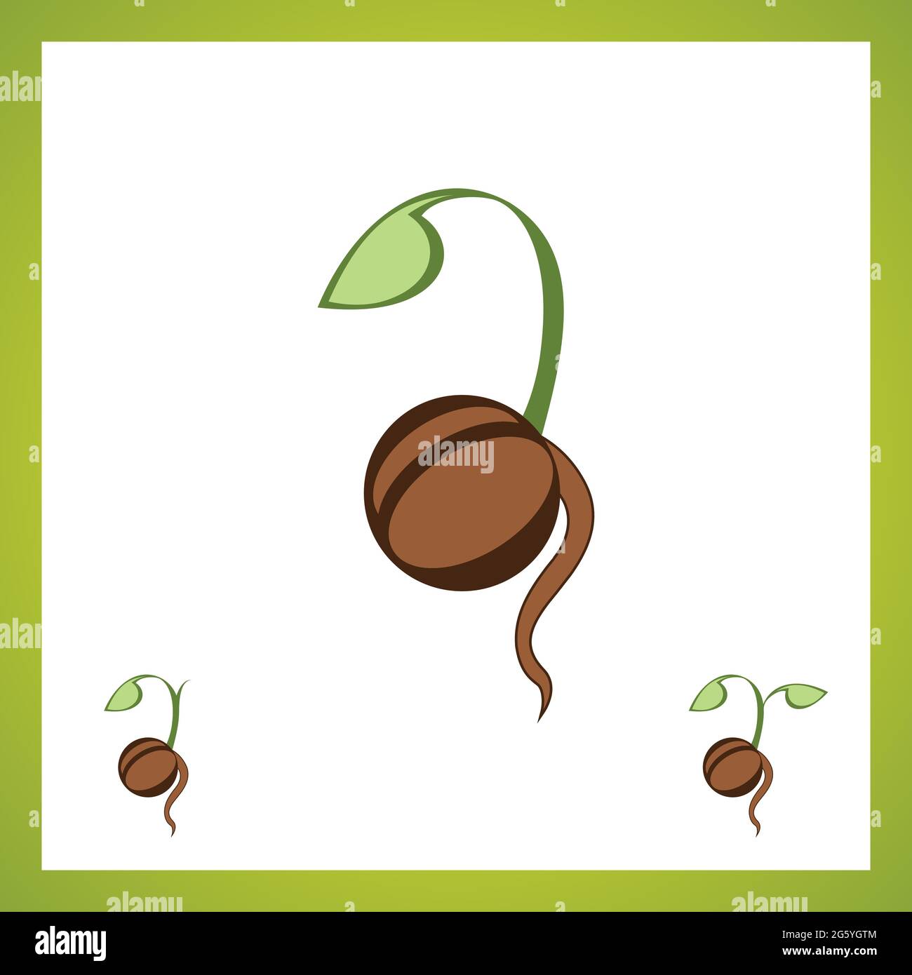 Seed Drawing For Kids