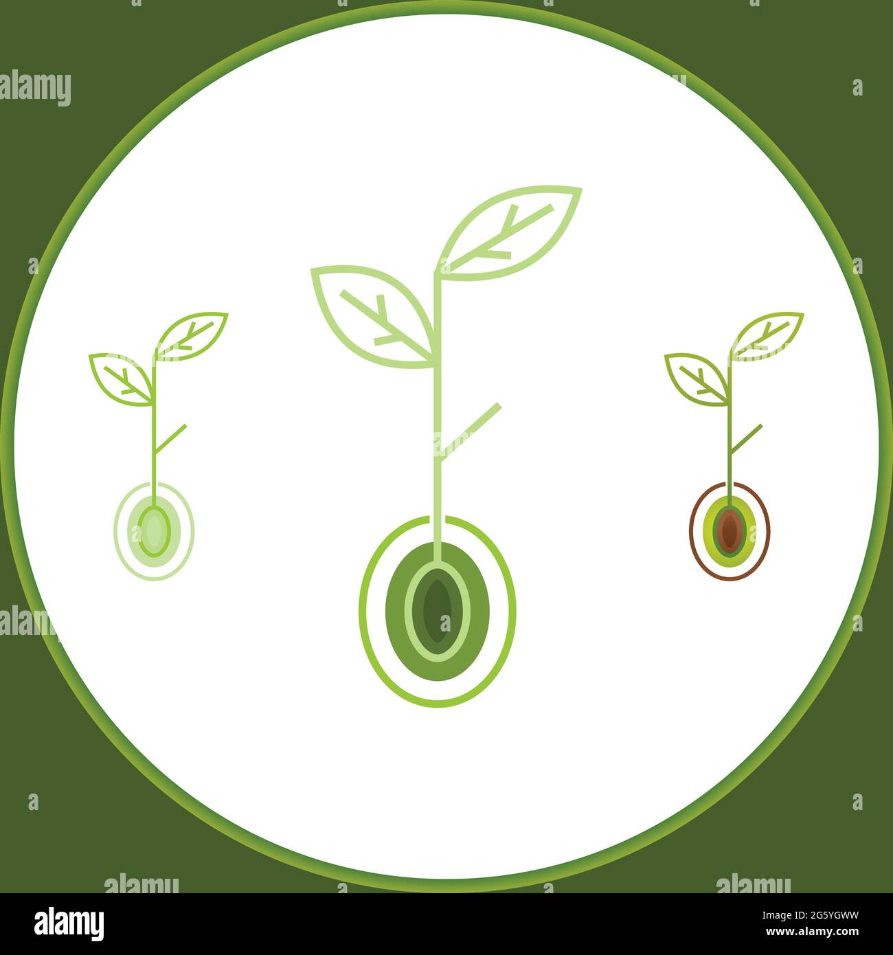 seedling, sprout, sapling flat icon in illustrator Stock Vector Image ...