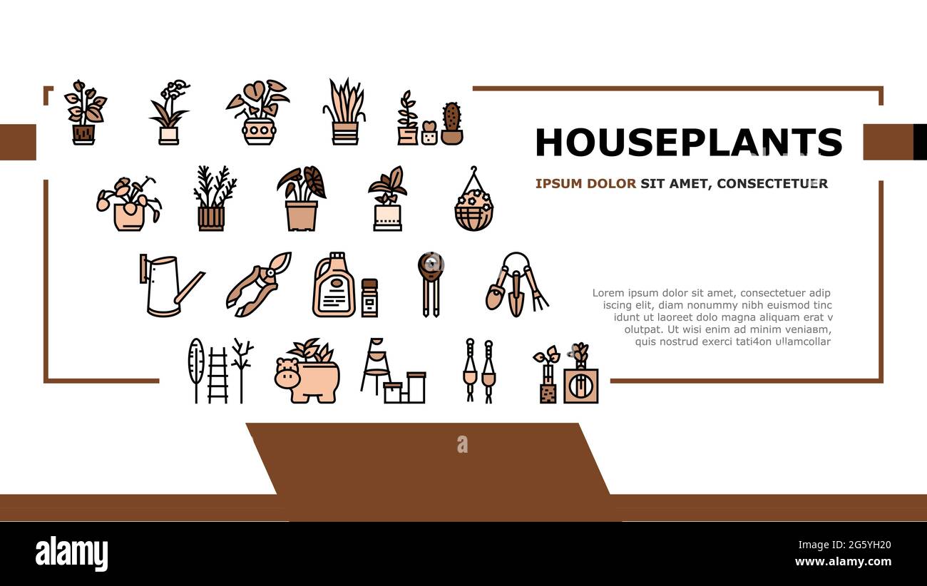Houseplant Store Sale Landing Header Vector Stock Vector Image & Art ...