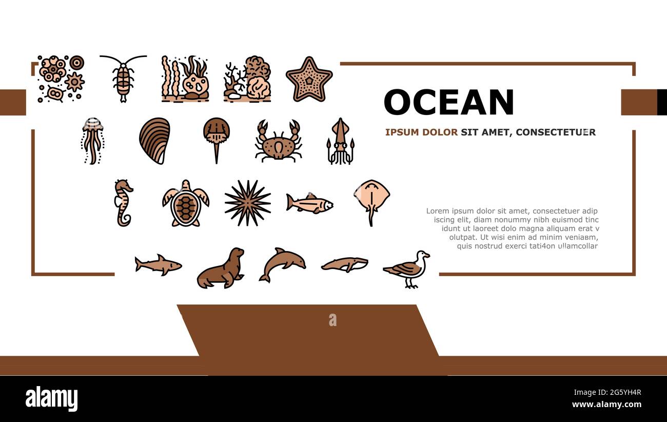 Ocean Underwater Life Landing Header Vector Stock Vector Image & Art ...