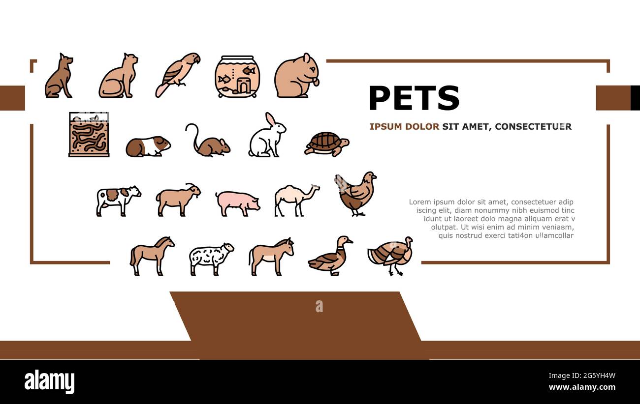 Donkey title page Stock Vector Images - Alamy