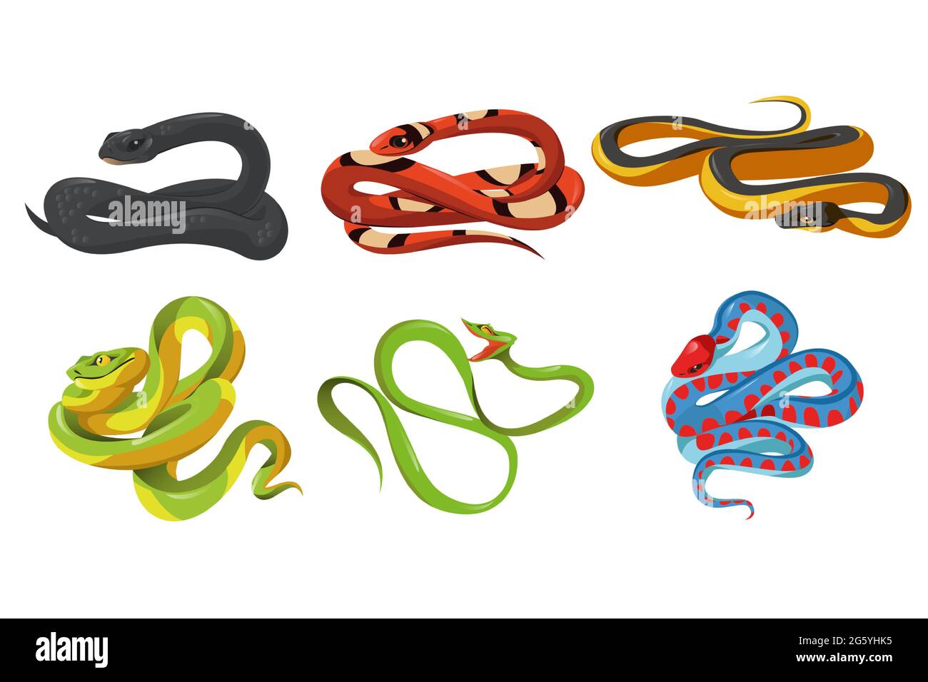 Black mamba Dendroaspis polylepis, milk snake, yellow spine bellied ...