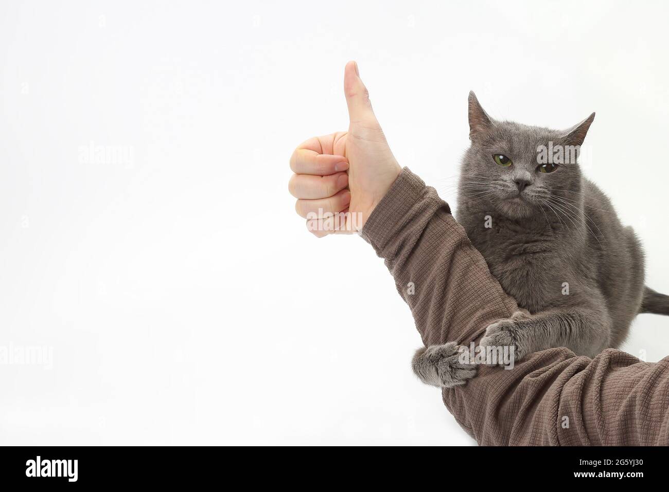 Hugged animal hi-res stock photography and images - Alamy
