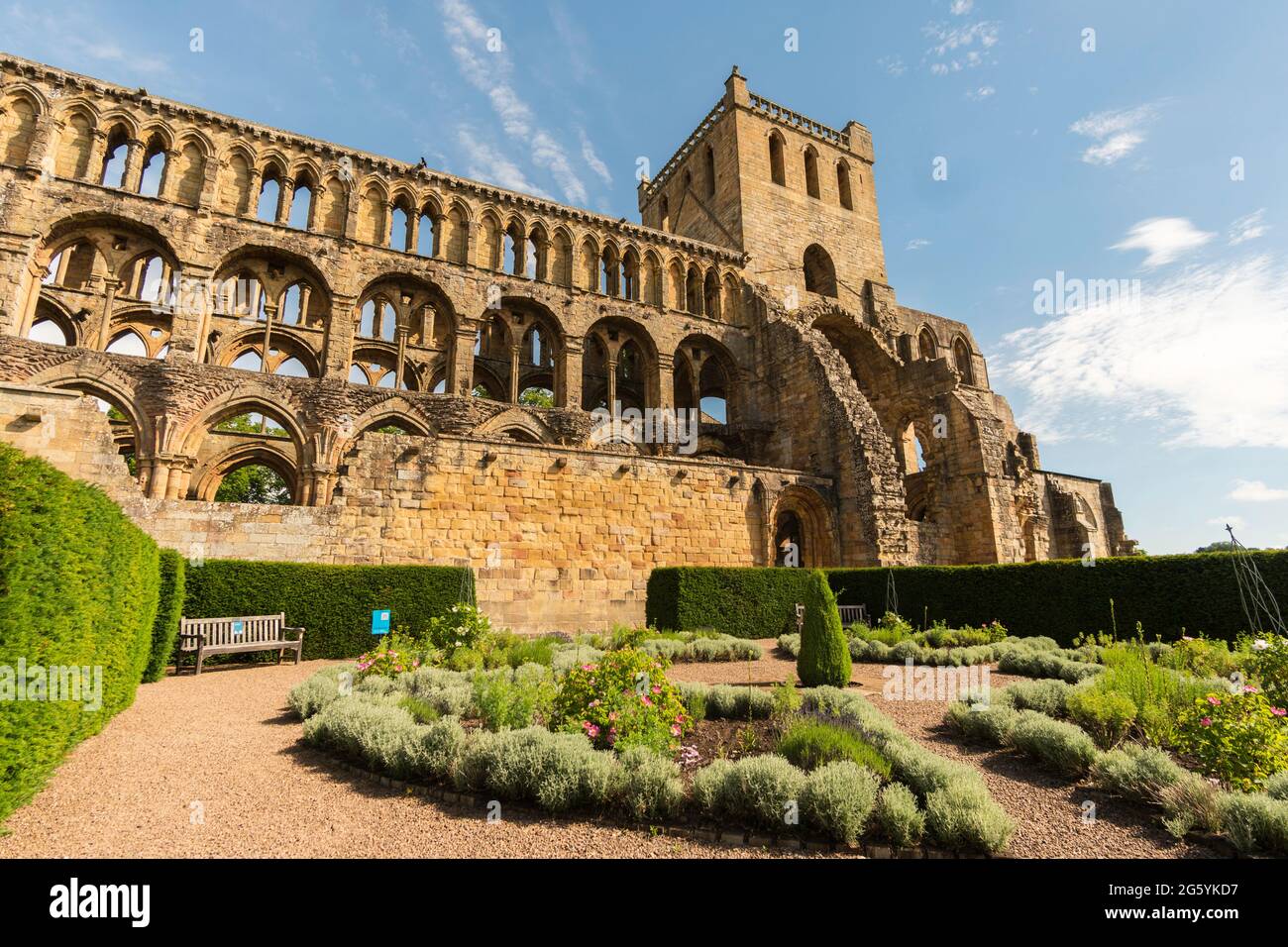 The herb garden at Jedburgh Abbey, Scotland, UK Stock Photo - Alamy