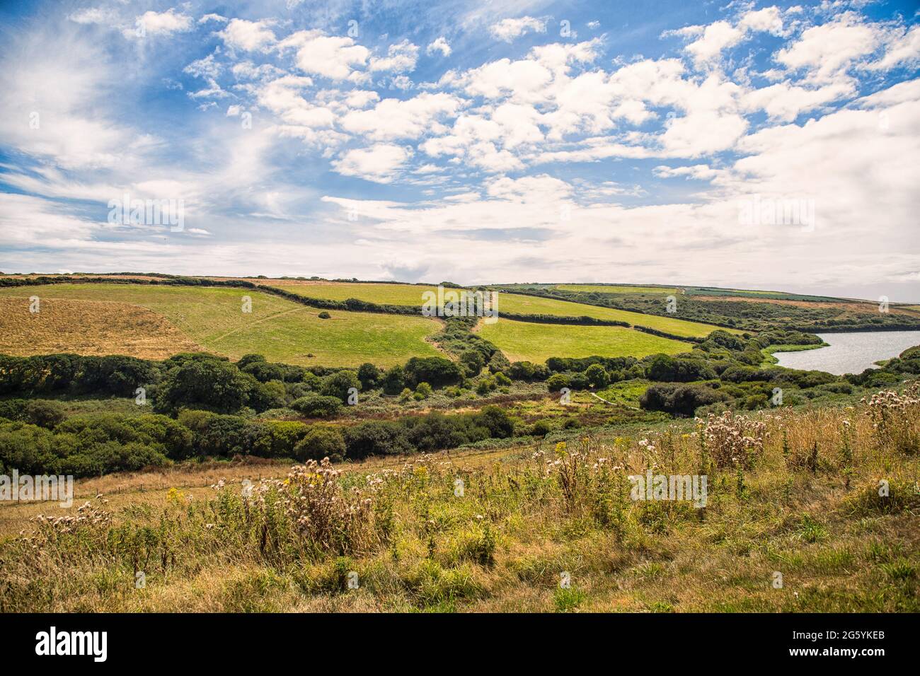landscape in Cornwall Stock Photo - Alamy