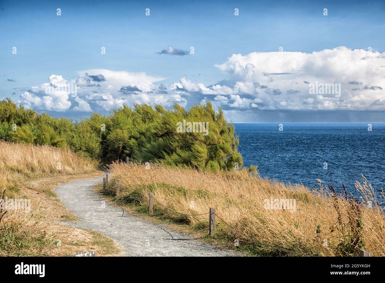 coastline of Lizard in Cornwall, UK Stock Photo - Alamy
