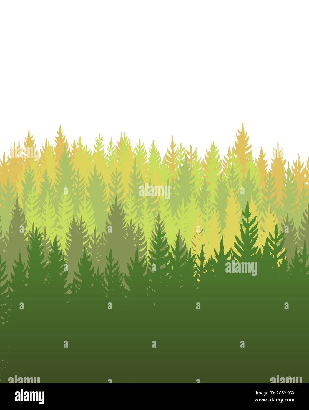 Conifers vector vectors hi-res stock photography and images - Alamy
