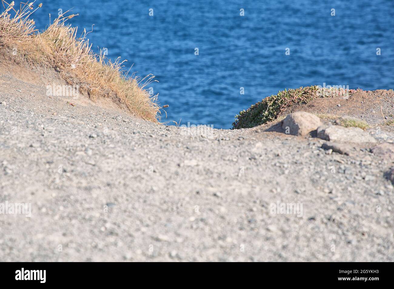 coastline of Lizard in Cornwall, UK Stock Photo - Alamy