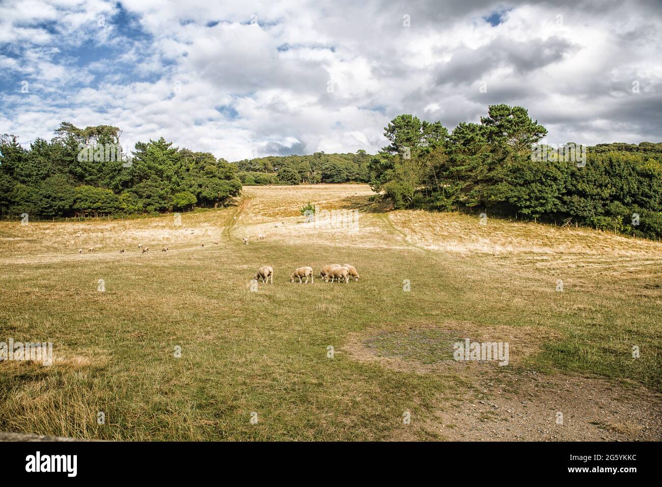 Saint Austell landscape in Cornwall, UK Stock Photo - Alamy