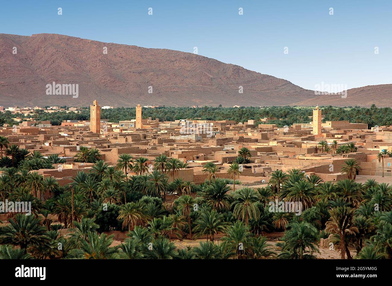 Palm grove of Figuig in Morocco Stock Photo - Alamy