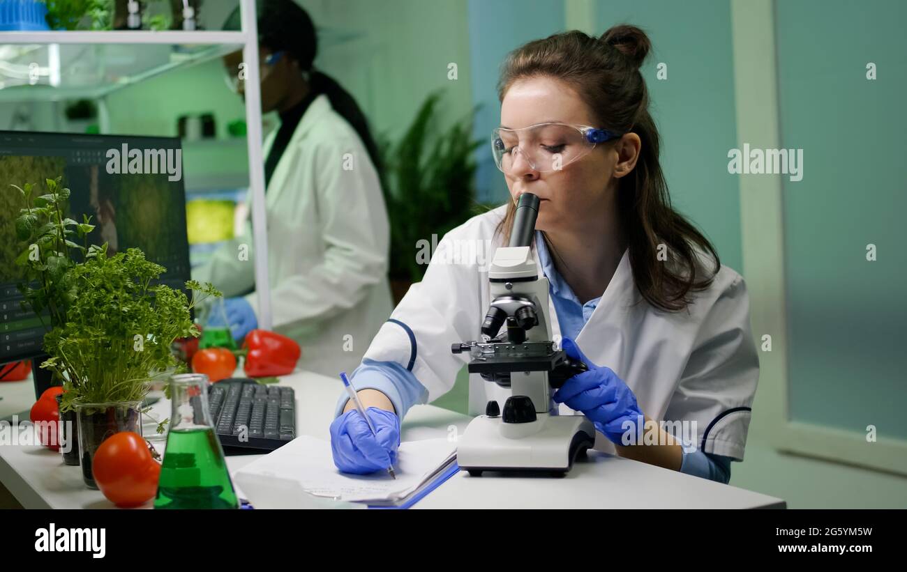 Biologist scientist looking at leaf sample using medical microscope ...