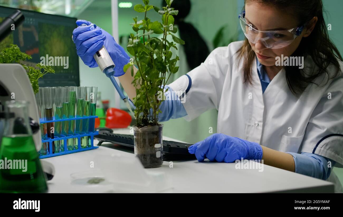 Biochemist scientific taking green liquid with micropieptte puttin on ...