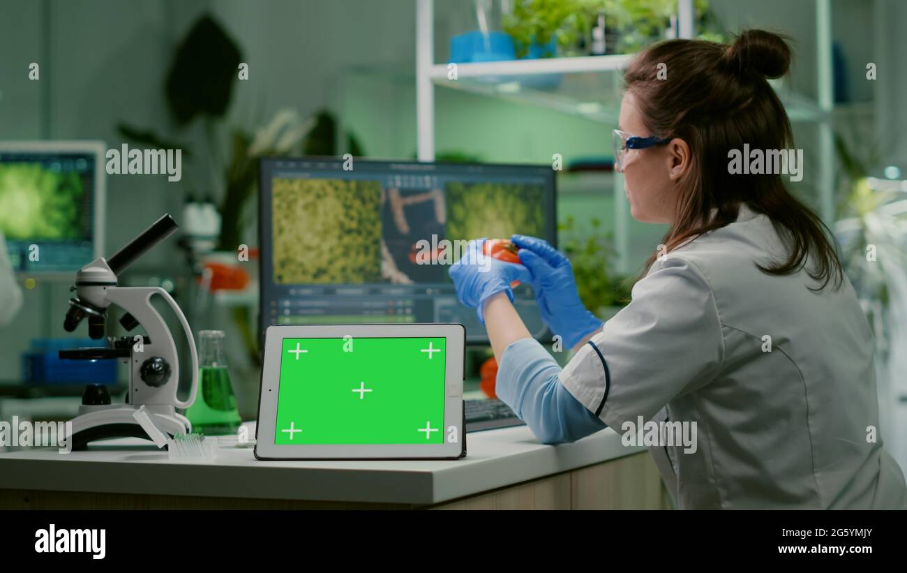 Chemist researcher typing microbiology expertise on computer while in ...