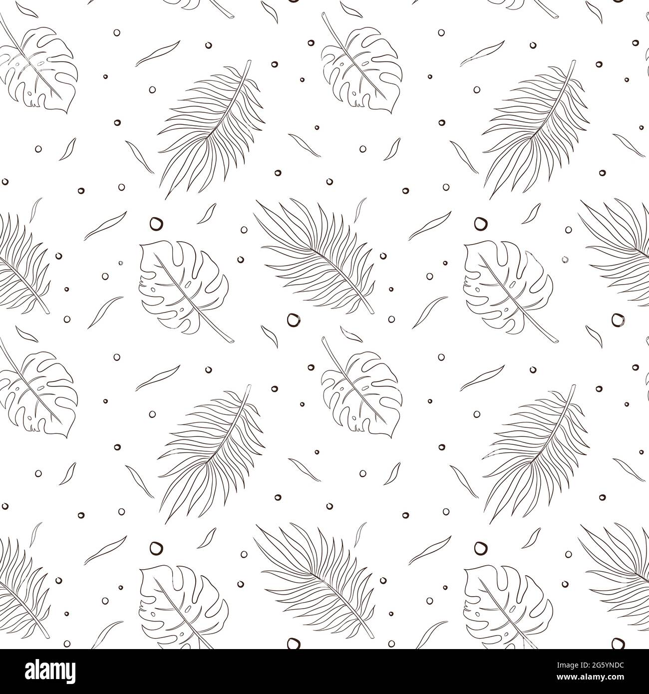 Palm leaves outline hi-res stock photography and images - Alamy