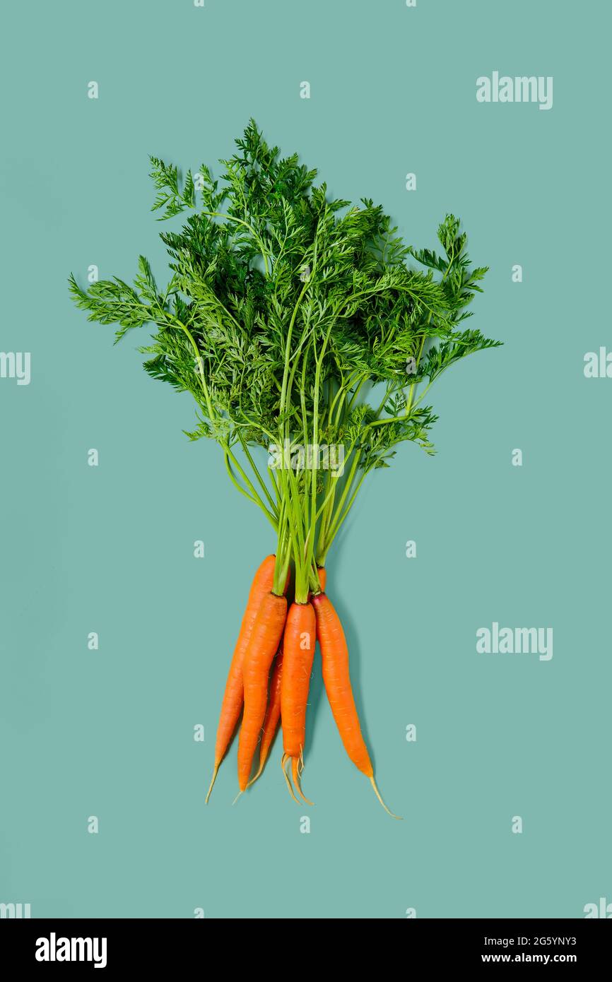Carrot with tops hi-res stock photography and images - Alamy