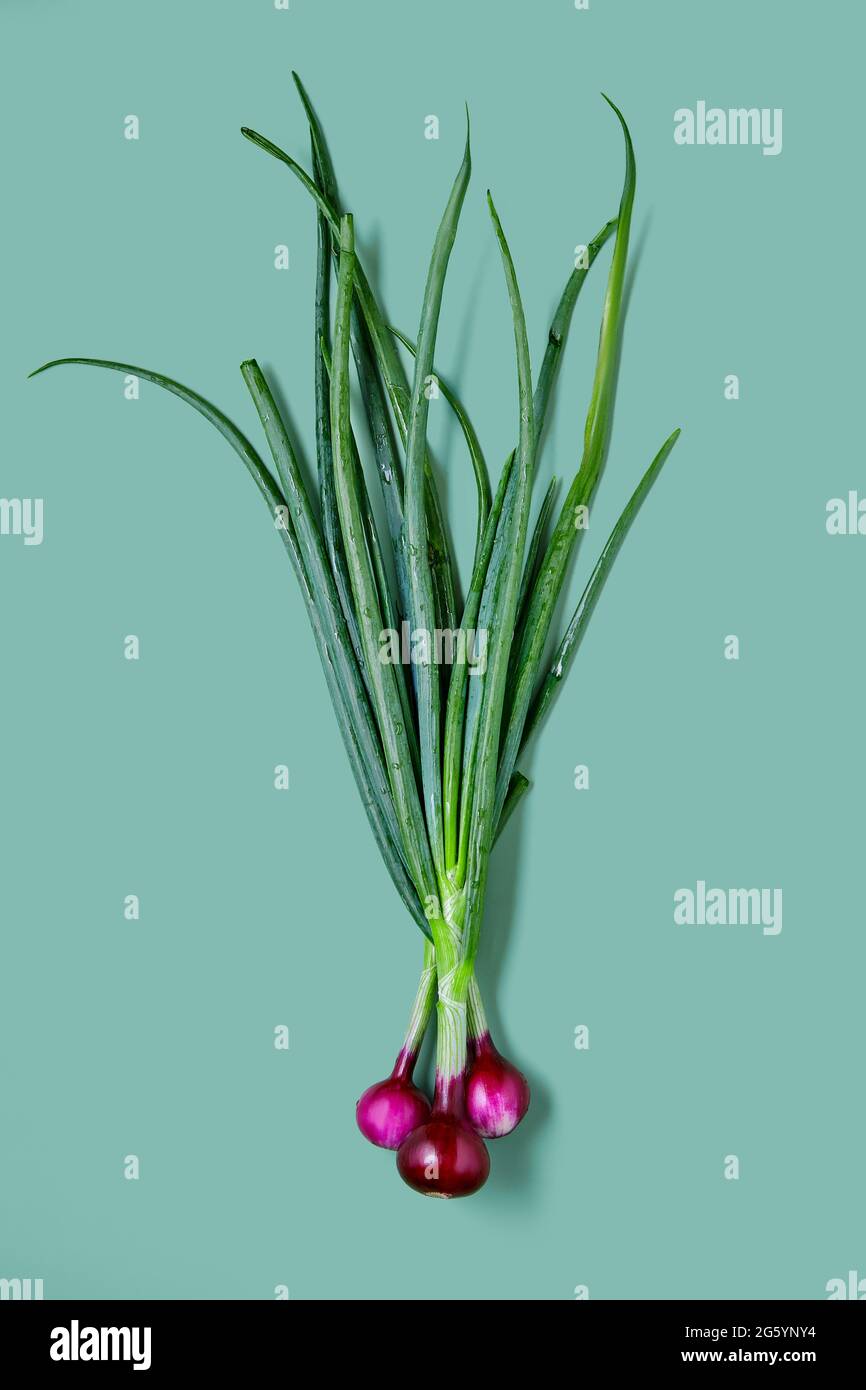 Onion tops hi-res stock photography and images - Alamy