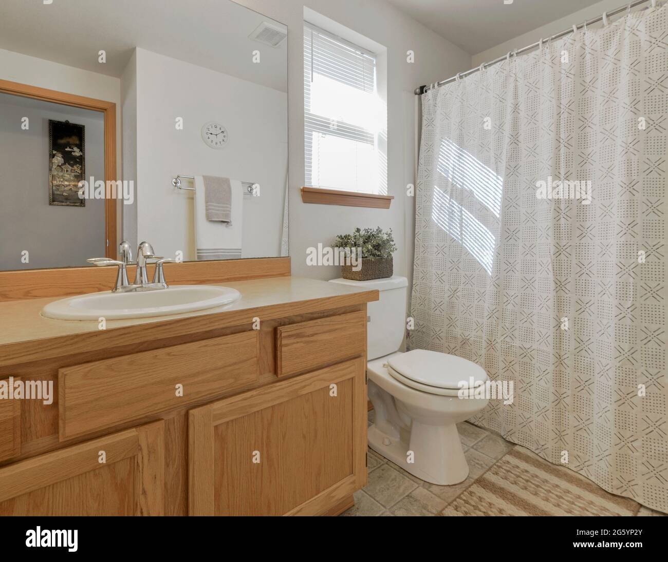 Modern residential bathroom interior Stock Photo - Alamy