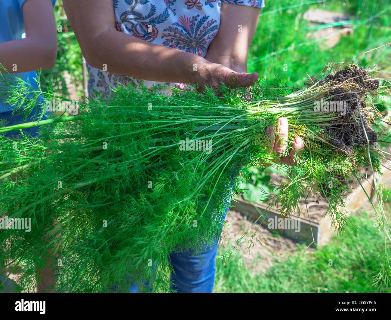 Female garden earth hi-res stock photography and images - Alamy