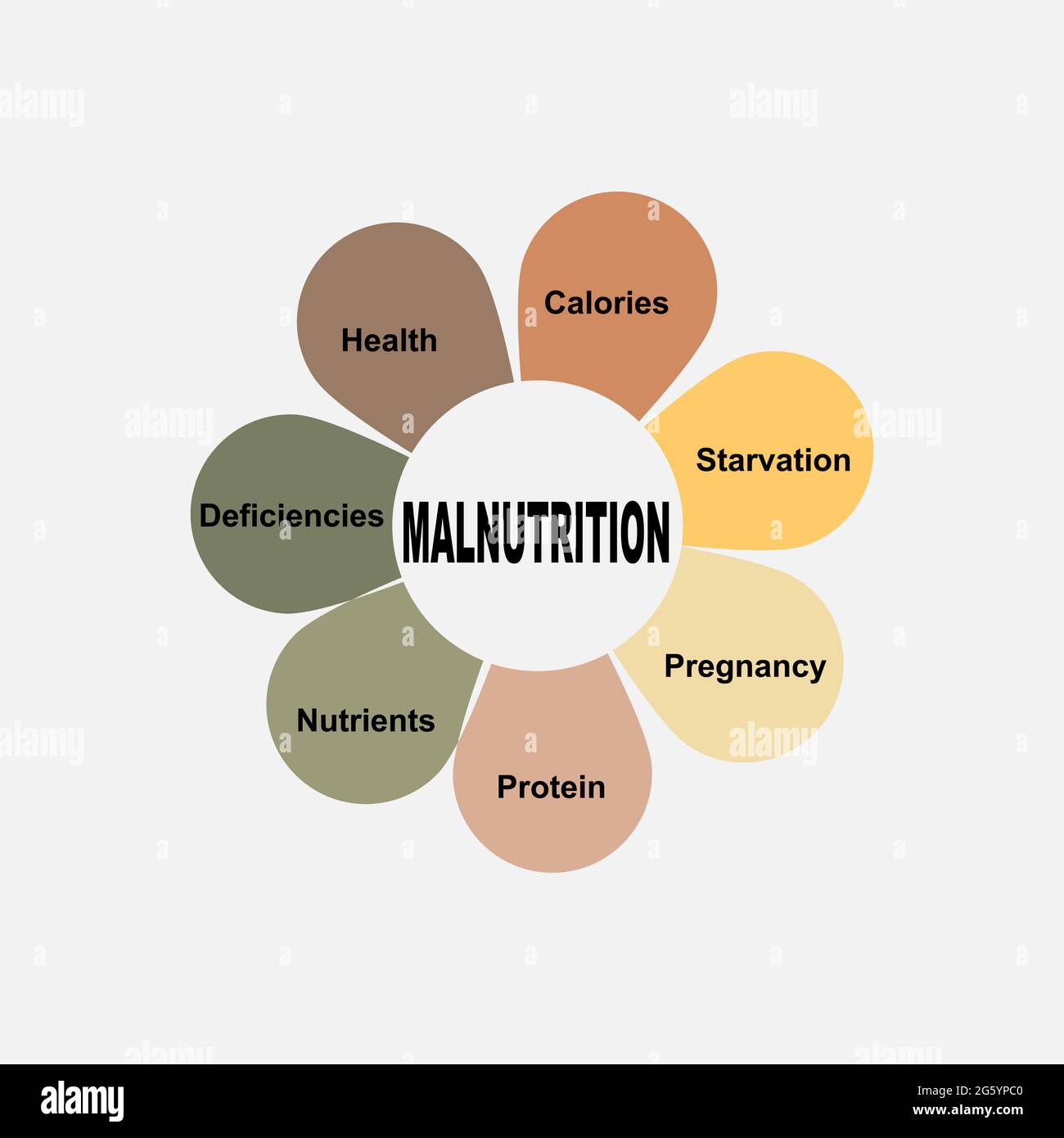 Diagram concept with Malnutrition text and keywords. EPS 10 isolated on ...