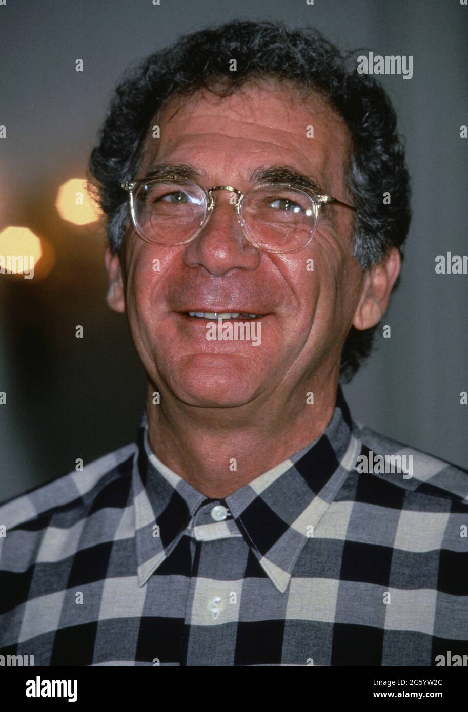 Sydney Pollack, amerikanischer Filmregisseur, Filmproduzent ...