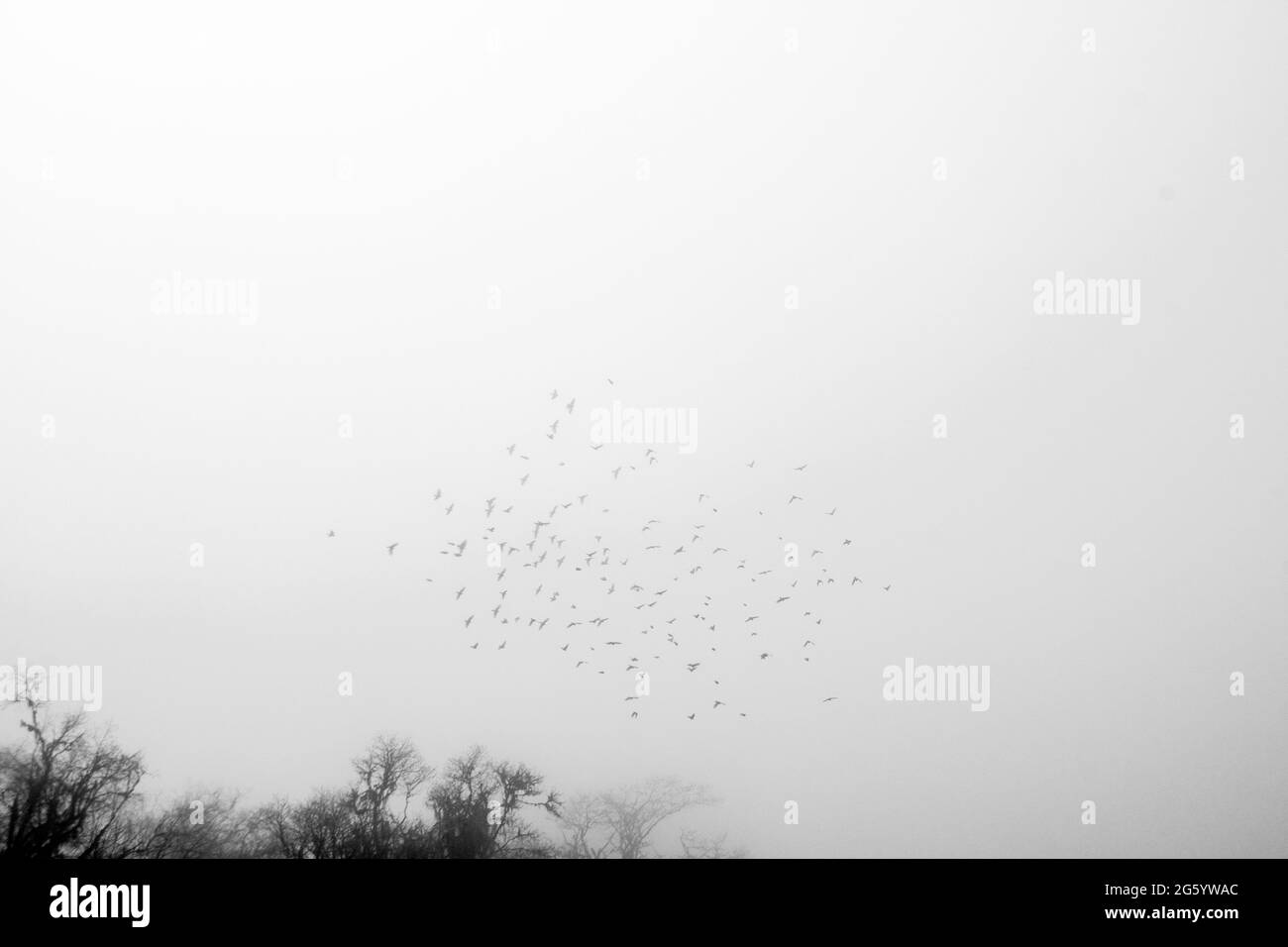 Powerpoint template hi-res stock photography and images - Alamy