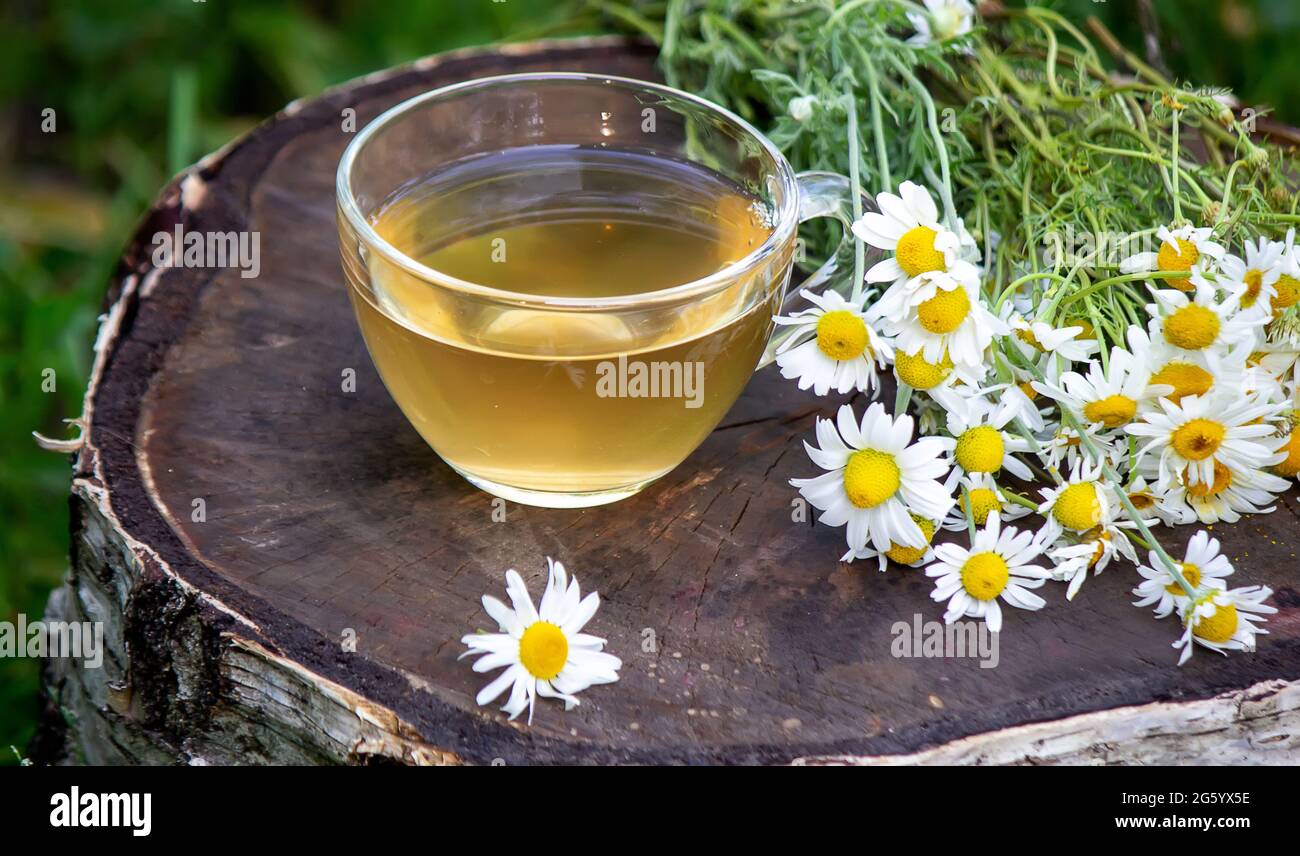Healthy chamomile tea on a wooden background. Nature. Selective focus ...