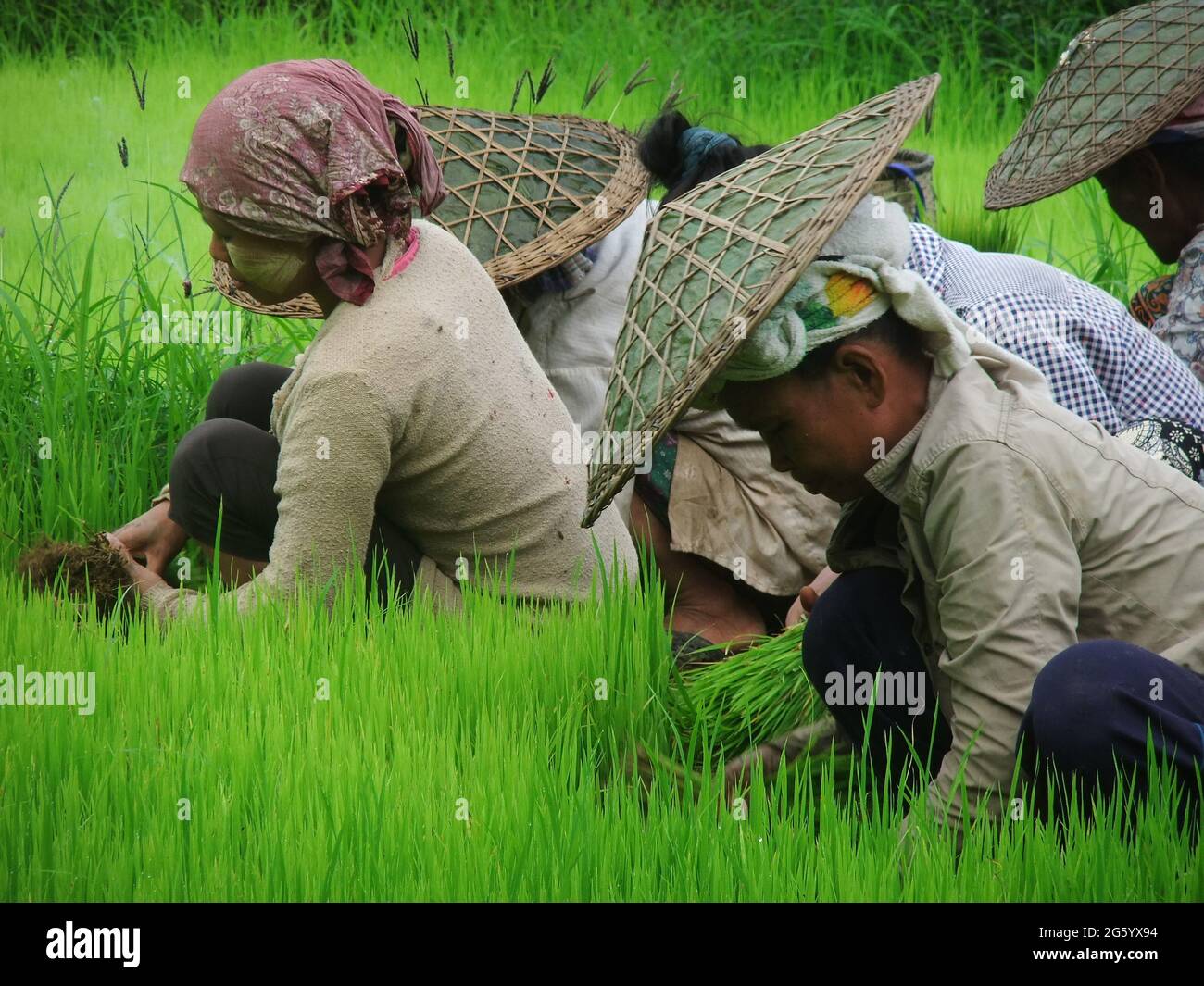 Karen farmer hi-res stock photography and images - Alamy