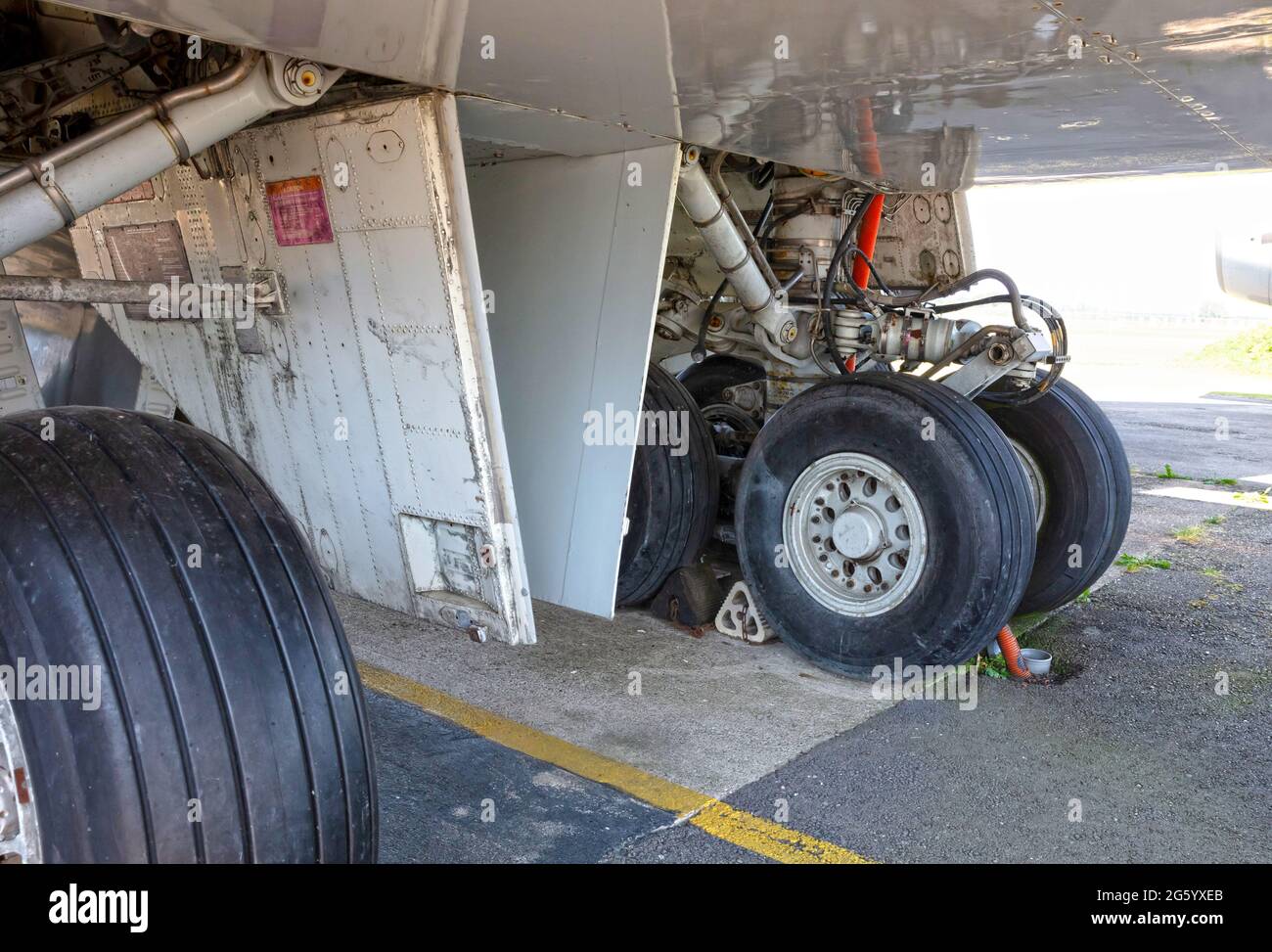 Under cart hi-res stock photography and images - Alamy