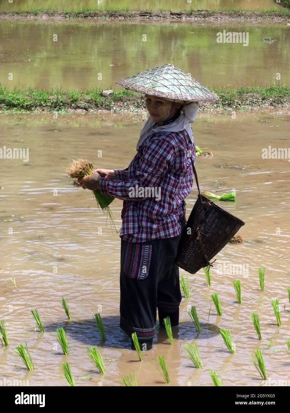 Karen farmer hi-res stock photography and images - Alamy