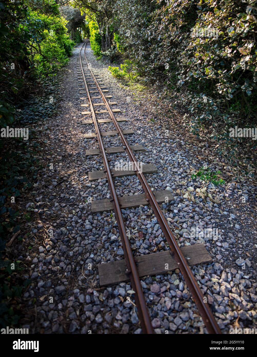 Rail tracks running through dense trees and bushes of miniature railway ...