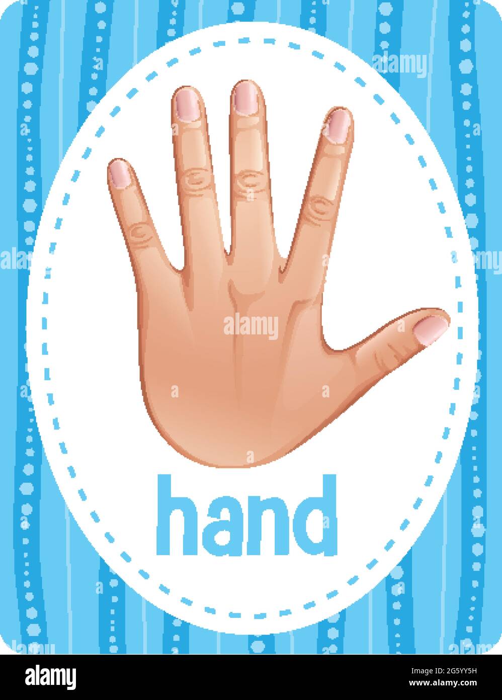 Vocabulary flashcard with word Hand illustration Stock Vector Image ...