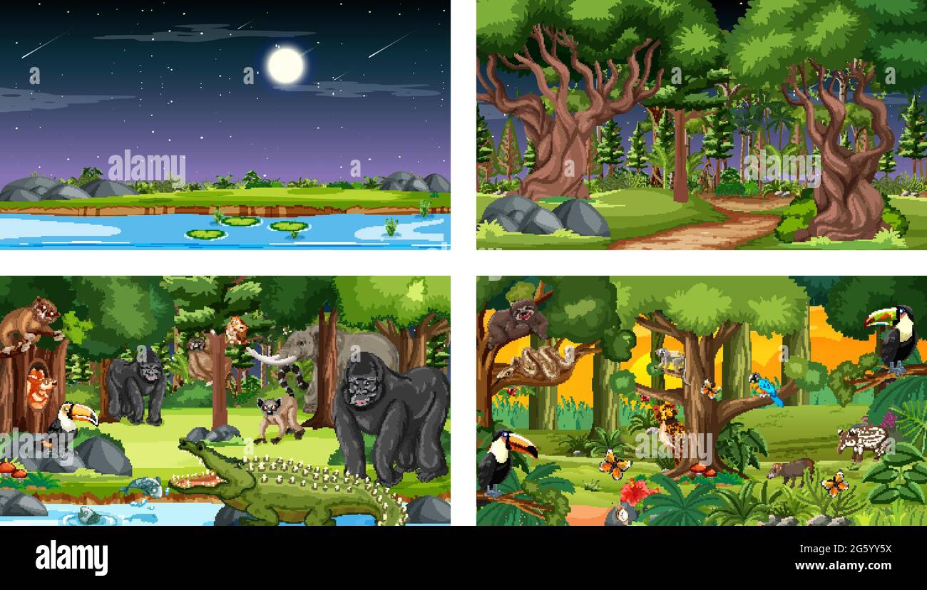 Nature Scenes With Animals