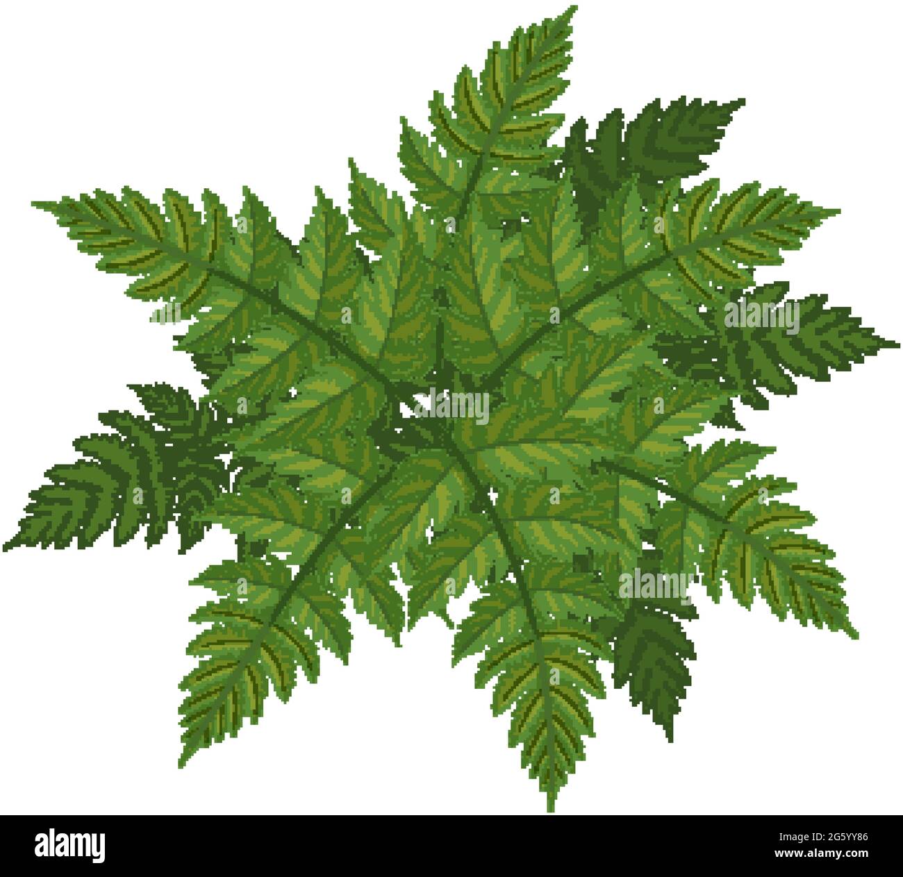 Fern leaves cartoon style isolated illustration Stock Vector Image ...