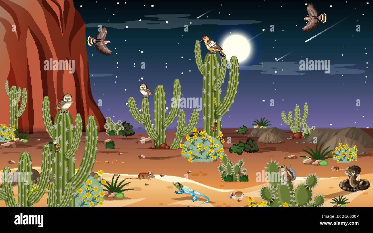Desert forest landscape at night scene with desert animals and plants ...