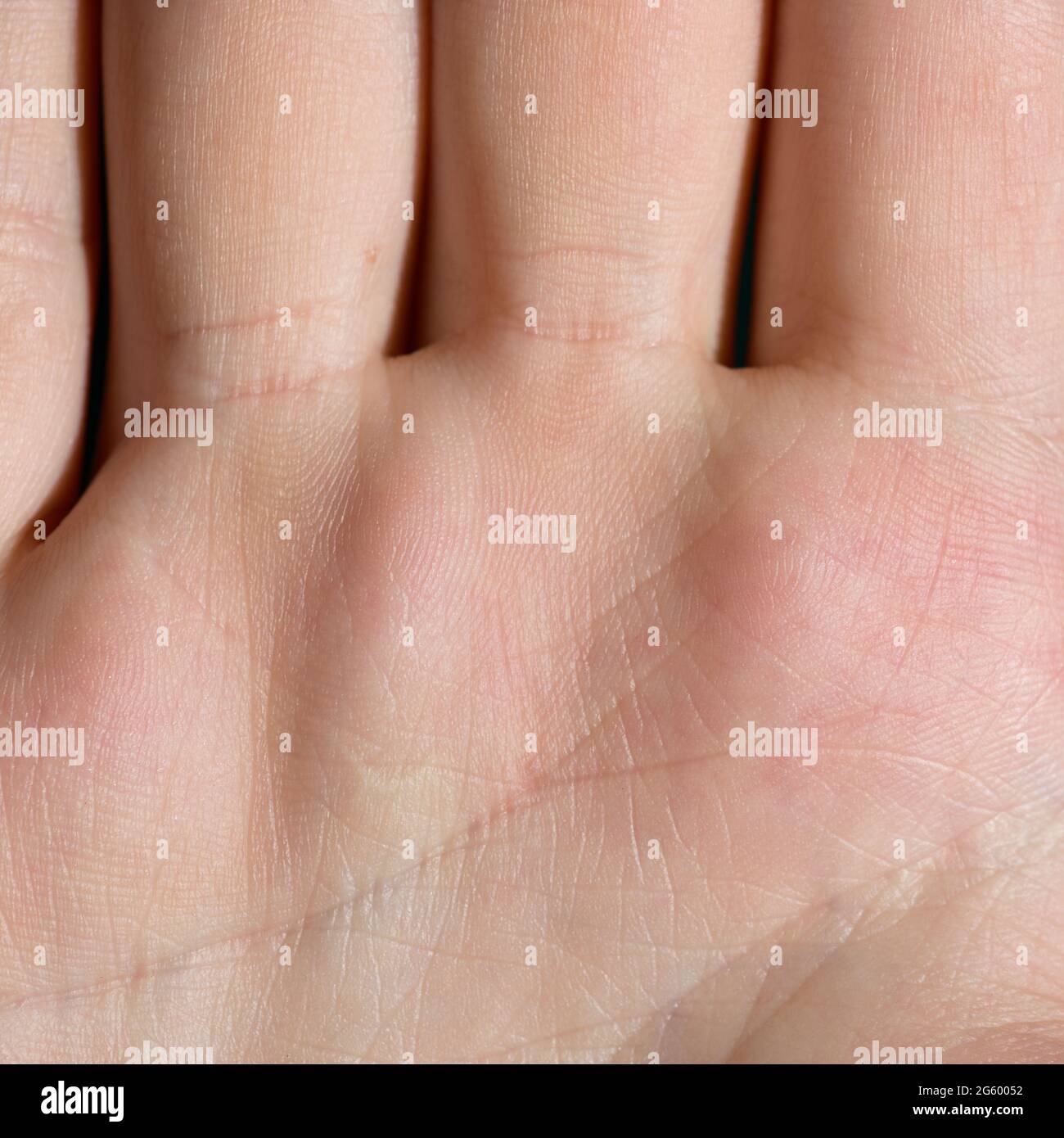 Human hand closeup view Stock Photo - Alamy