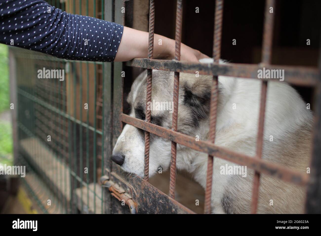 Russia Shelter High Resolution Stock Photography and Images - Alamy