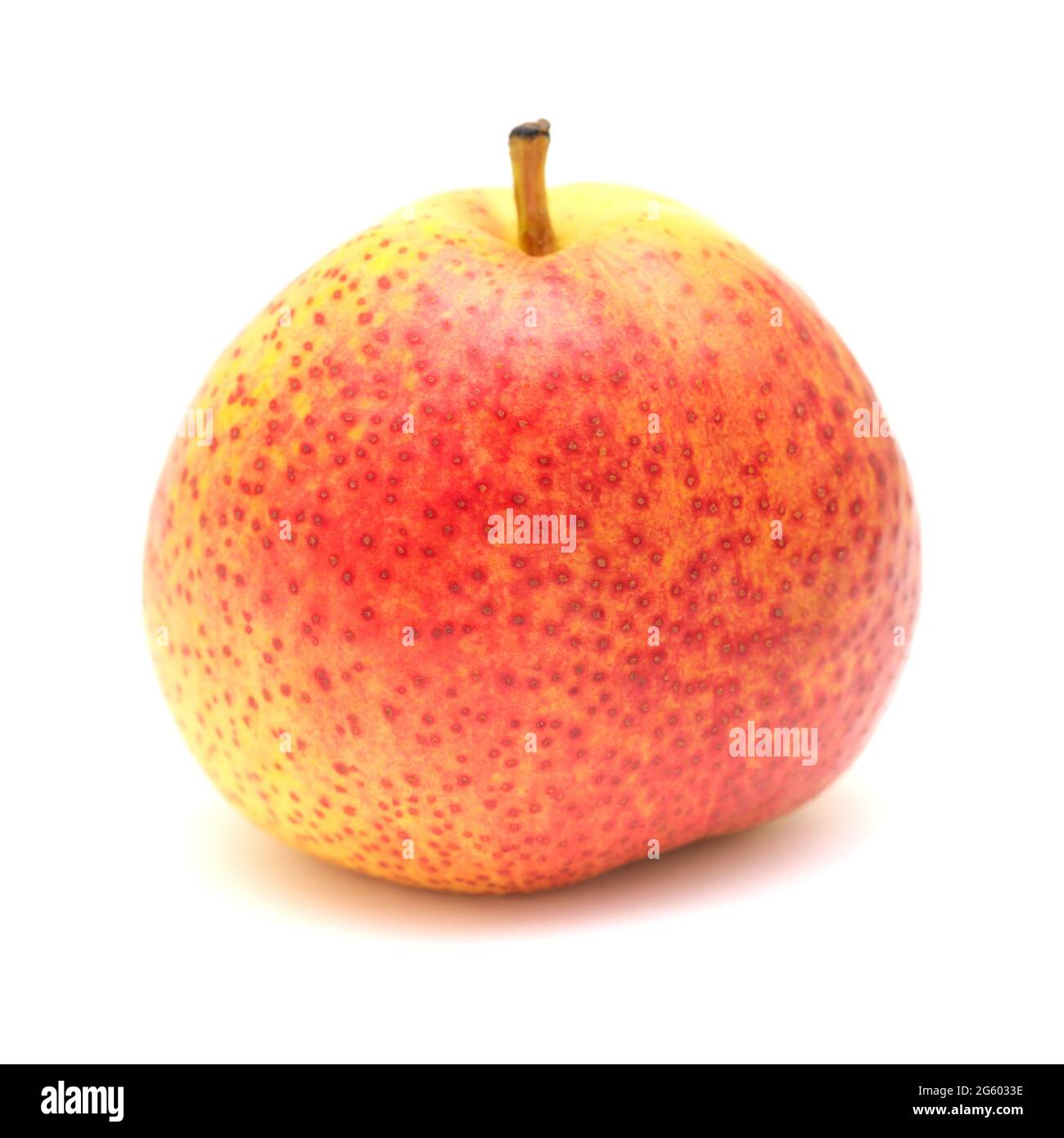Large very round yellow and red pear fruit isolated on white background ...