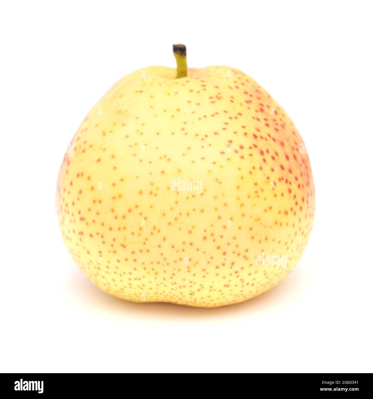 Large very round yellow and red pear fruit isolated on white background ...