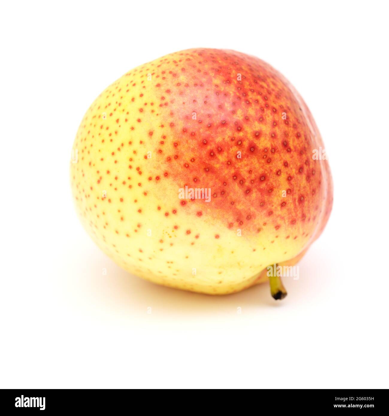 Large very round yellow and red pear fruit isolated on white background ...