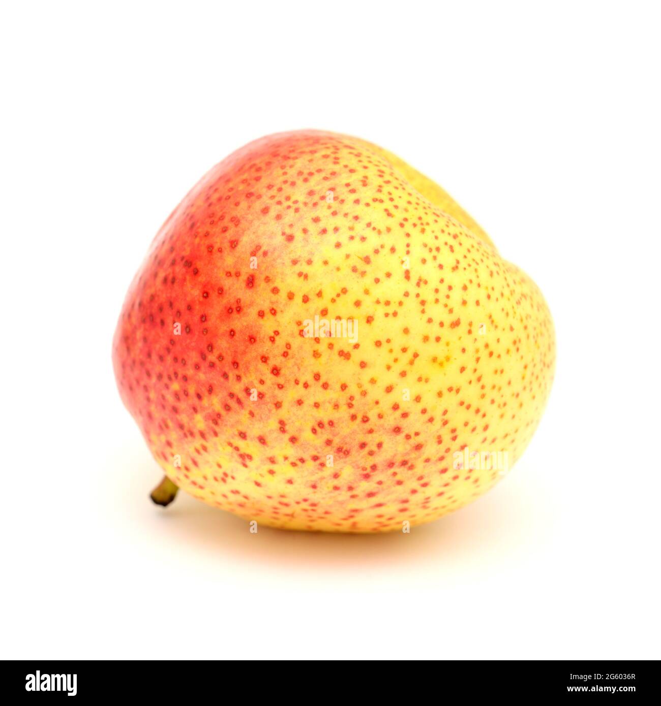 Large very round yellow and red pear fruit isolated on white background ...