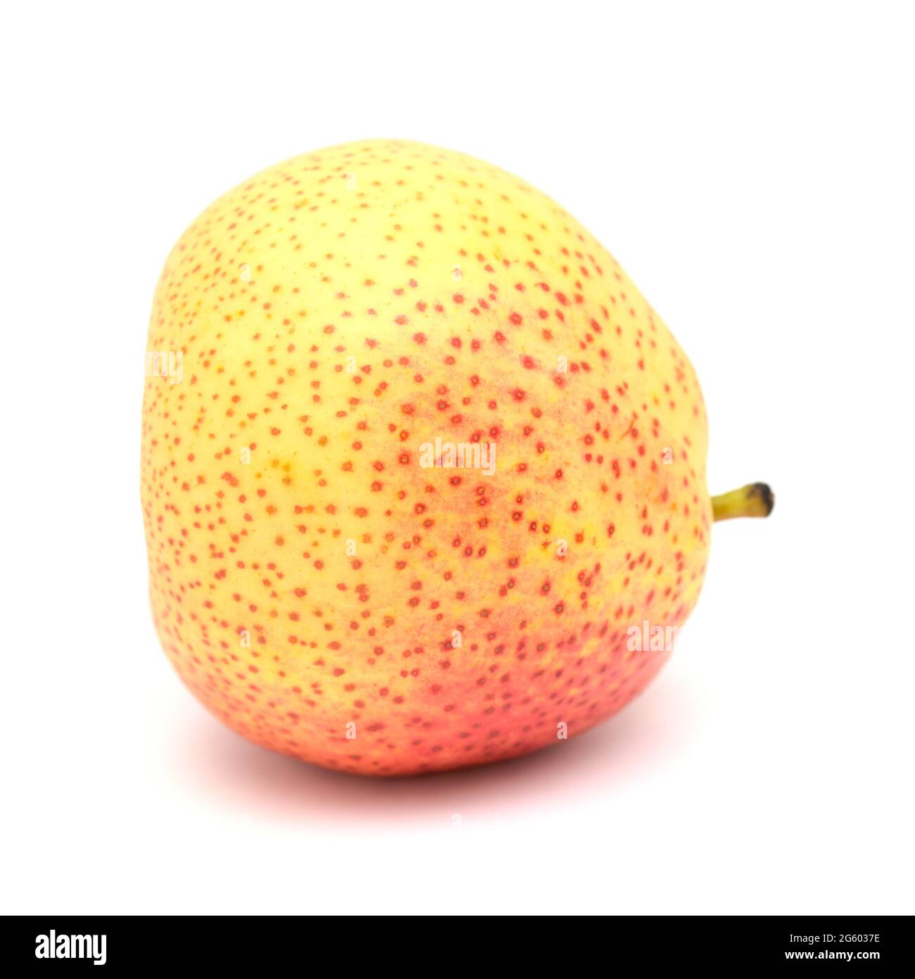 Large very round yellow and red pear fruit isolated on white background ...
