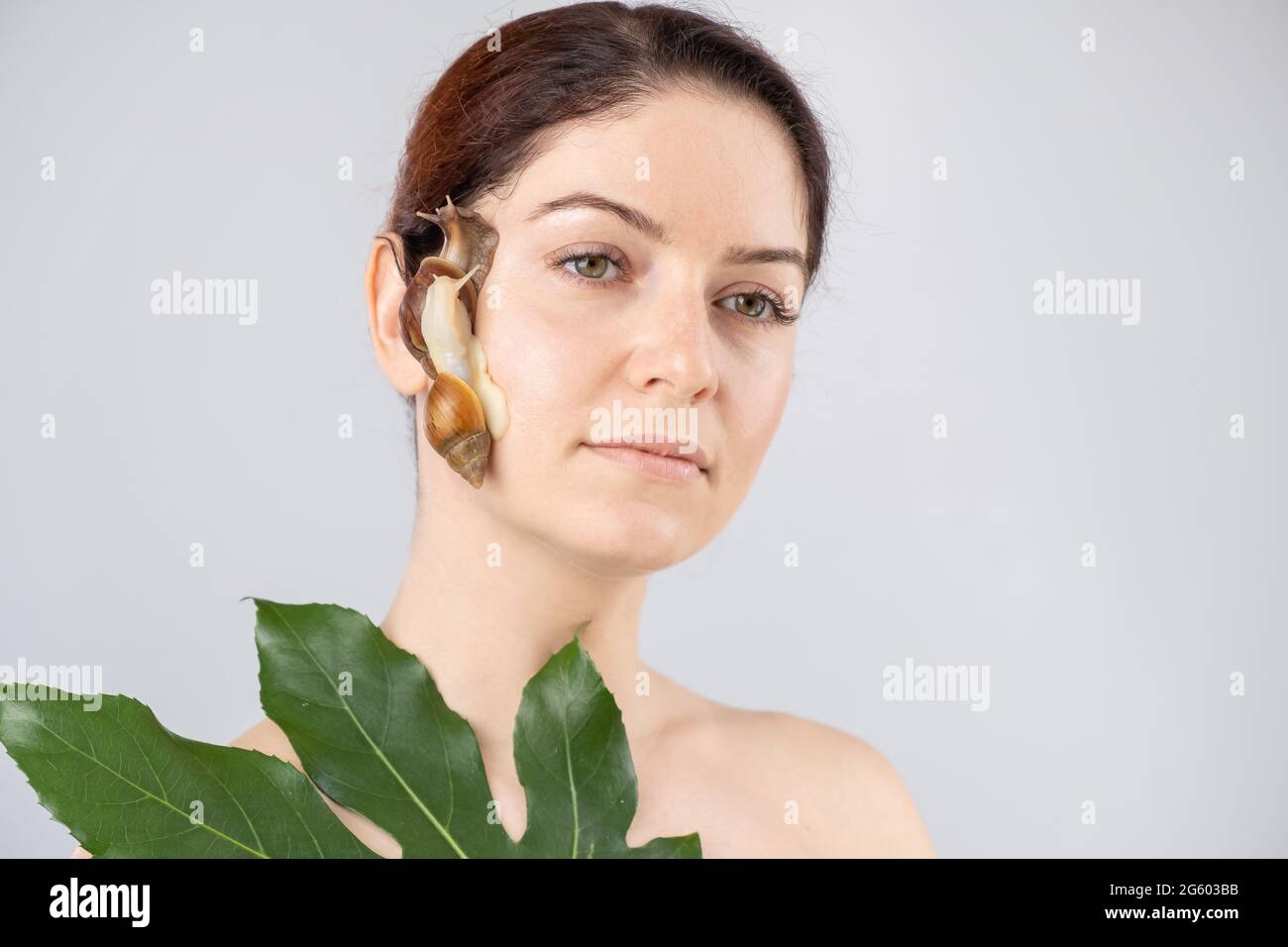 Snails face hi-res stock photography and images - Alamy